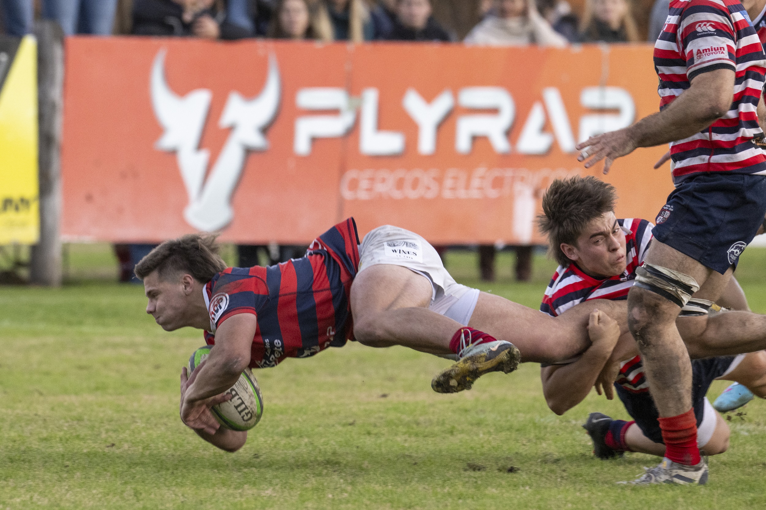 Sex chinese sub indo as soon as this feedback is likely to